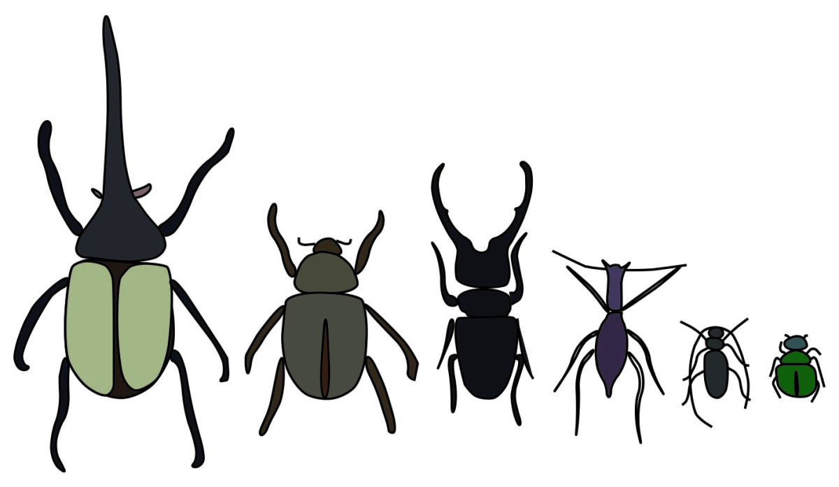 About - The Mirth Lab